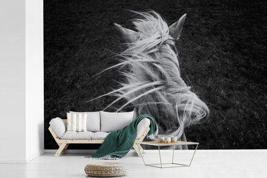 Behang - Fotobehang Manenkam van een paard in zwart-wit - Breedte 330 ...