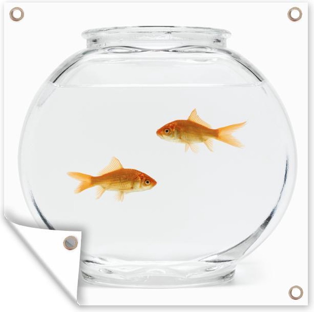 Affiche de jardin deux poissons rouges dans un bocal à poissons toile ...