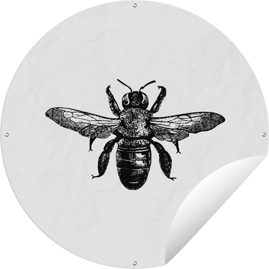 Tuincirkel Bij - Insect - Vintage - Zwart wit - 120x120 cm - Ronde ...