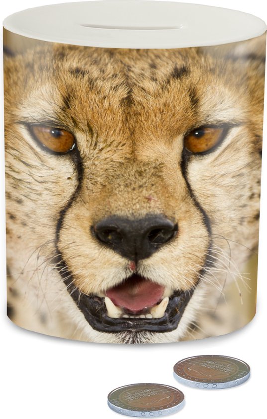 Spaarpot - Spaarblik - luipaard - Kop - Planten - Spaarpotten ...