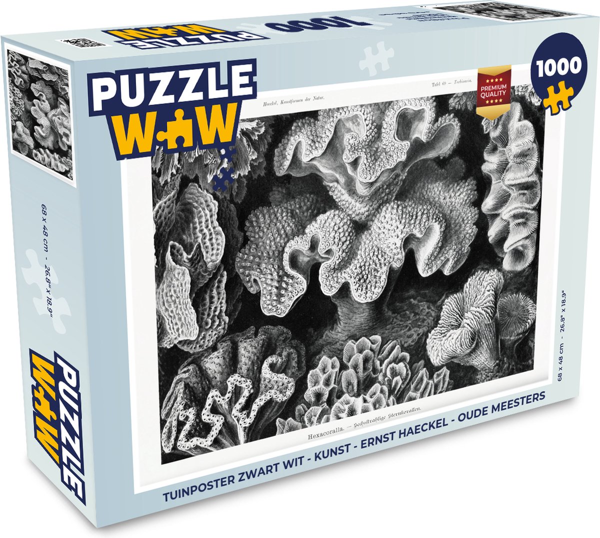 Puzzel Kunst - Koraal - Ernst Haeckel - Oude meesters - Natuur ...
