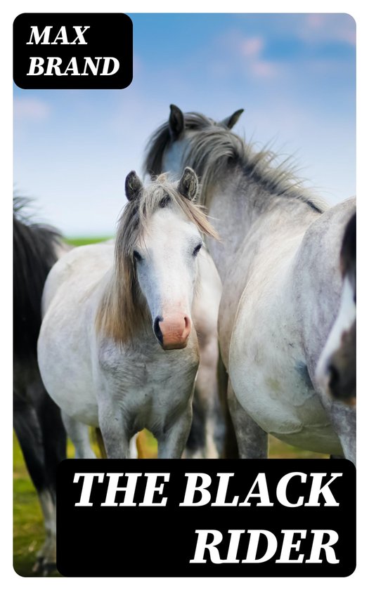 The Black Rider (ebook), Max Brand | 8596547310631 | Boeken | bol.com