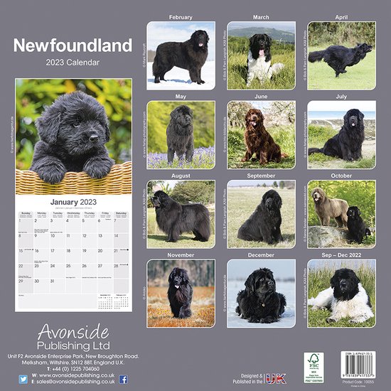 Newfoundlands Kalender 2023 | bol