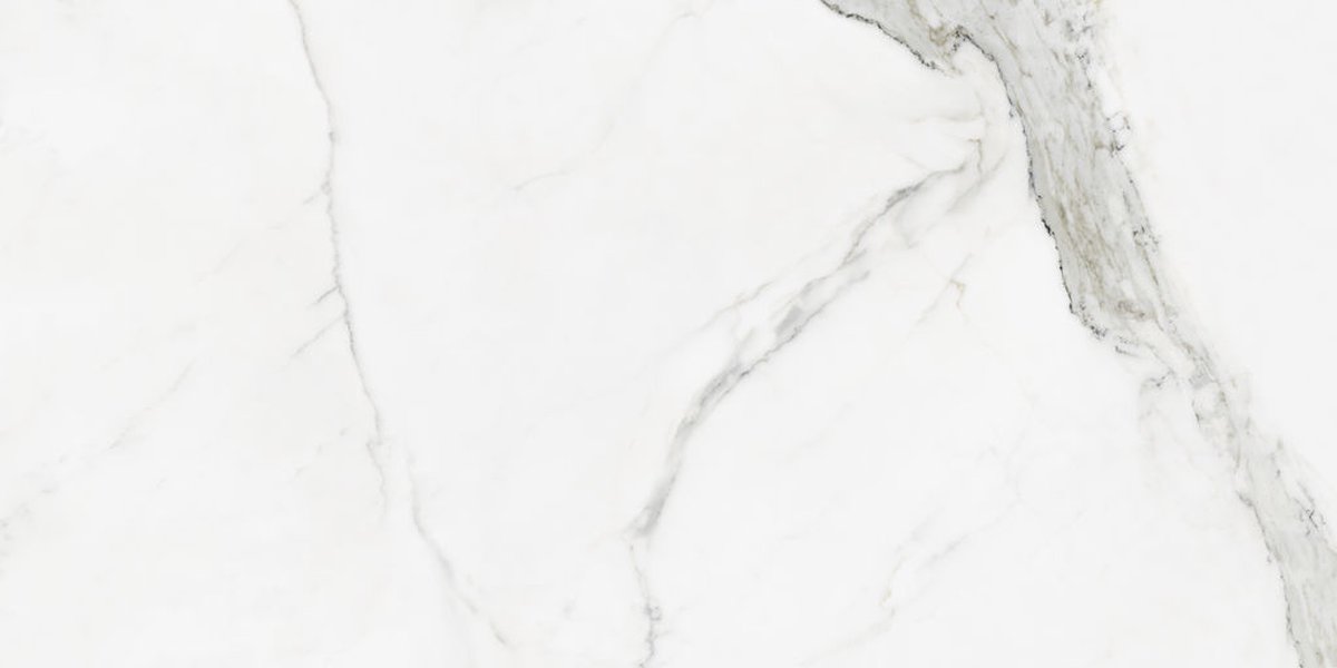 Statuario pulido 60x120 rett | bol.com