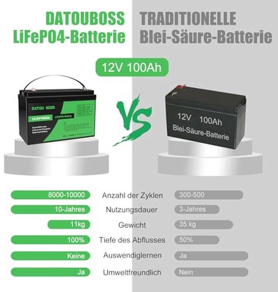 12V 100Ah Lithium Accu LiFePO4 met 100A BMS voor Camper, Zonnepaneel en ...