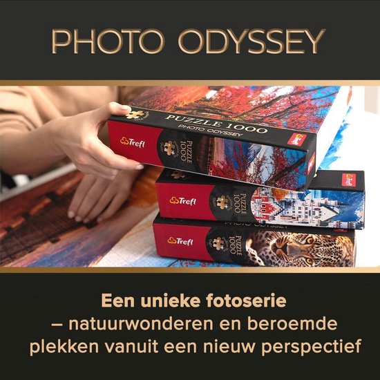 Trefl Premium Plus Quality - Puzzle Photo Odyssey: Wild leopard - 1000 ...