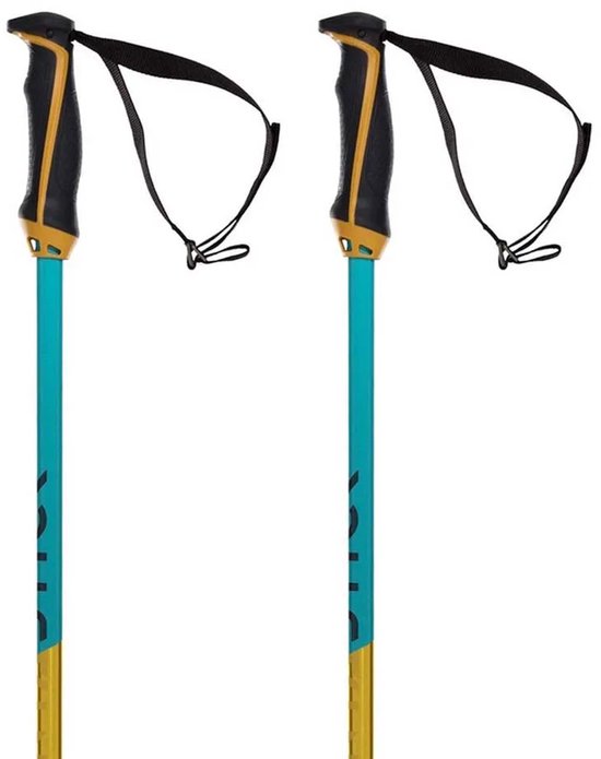 Volkl Phantastick 18mm Stokken Goud 115 cm Man,Vrouw | bol