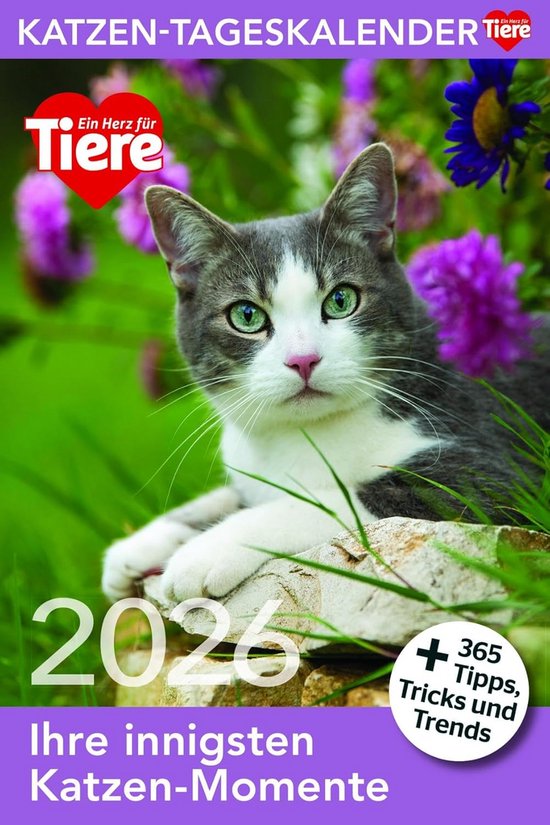 Katten Dagkalender 2026: Grappige Foto's en Weetjes over Katten | bol