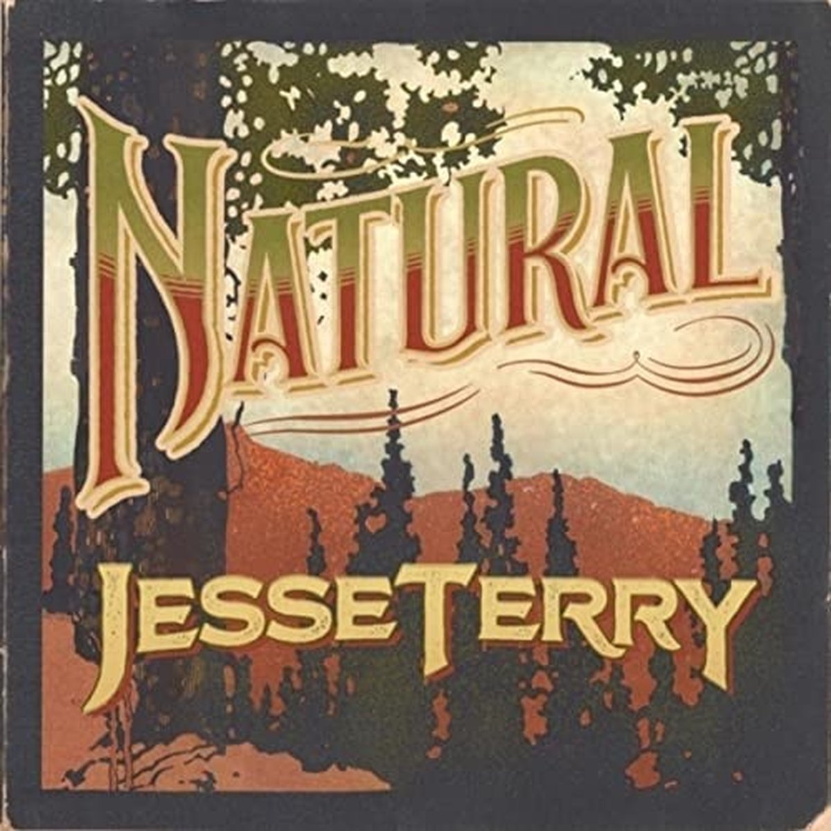 Jesse Terry - Natural (CD), Jesse Terry | CD (album) | Muziek | bol.com