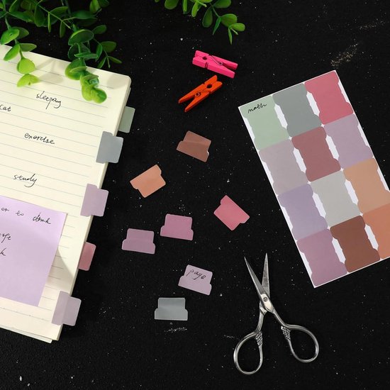 Sticky Index Tabs Sticker Tabs 12 Color Index Classification Label ...