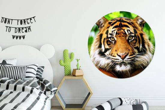 WallCircle - Muurstickers - Behangcirkel - Tijger - Kop - Bos - ⌀ 120 cm - Muurcirkel... | bol