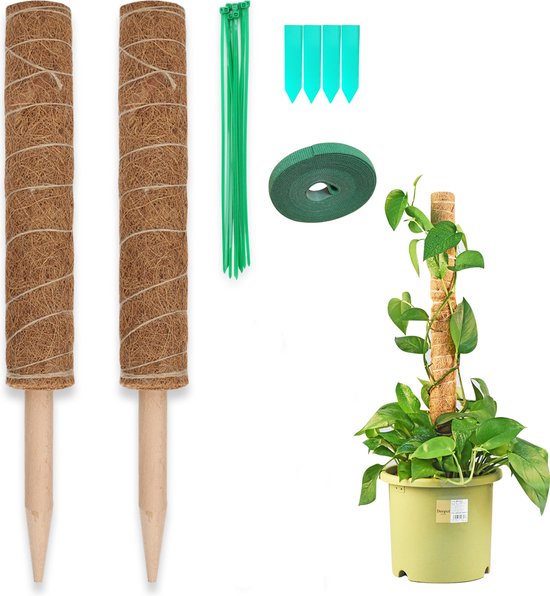 Mosstok voor Planten - 2x 40 cm - Plantenstok - Plantensteun ...