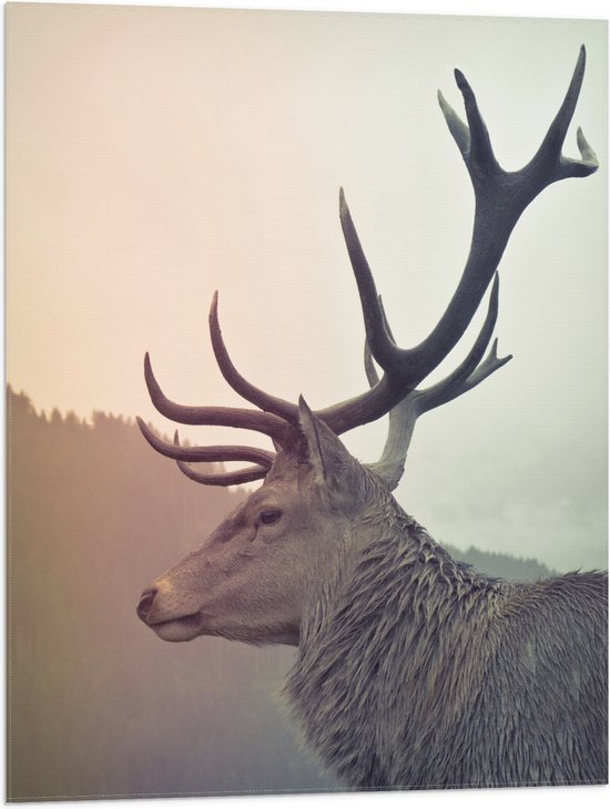 WallClassics - Vlag - Bruin Hert met Groot Gewei - 60x80 cm Foto op ...