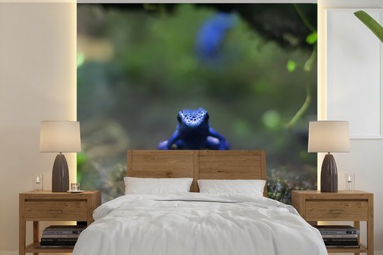 Behang - Fotobehang Blauwe kikker in de jungle - Breedte 220 cm x ...