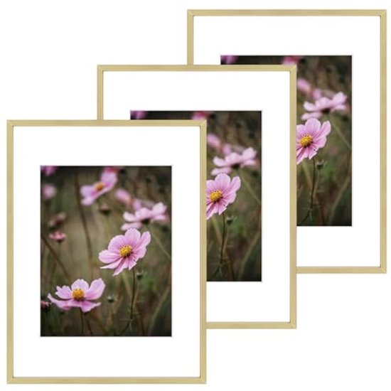 Metallic Foto Lijst 30.5 x 40.6 cm met Passe-Partout voor 8.5 x 11 Inch ...