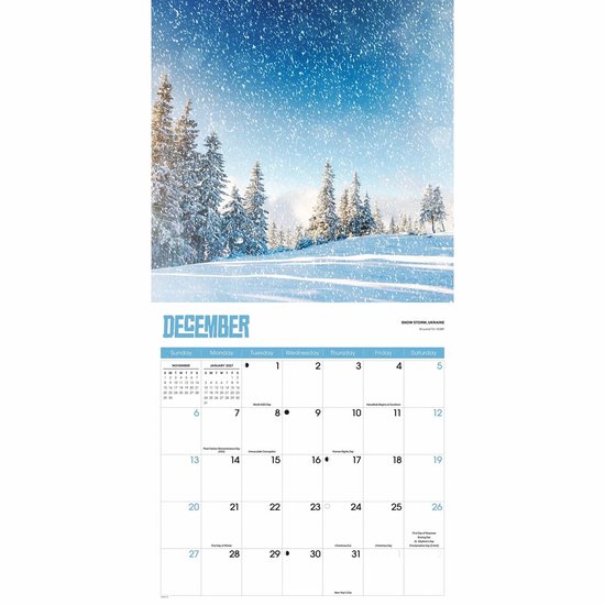 Extreem Weer Kalender 2026, CAROUSEL CALENDARS | 9781529896978 | Livres ...