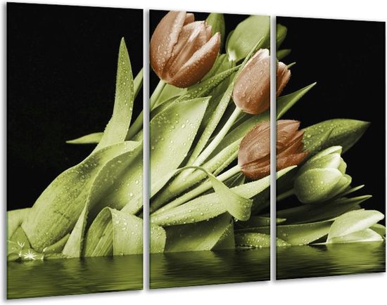 GroepArt - Schilderij - Tulp - Groen, Bruin, Zwart - 120x80cm 3Luik ...