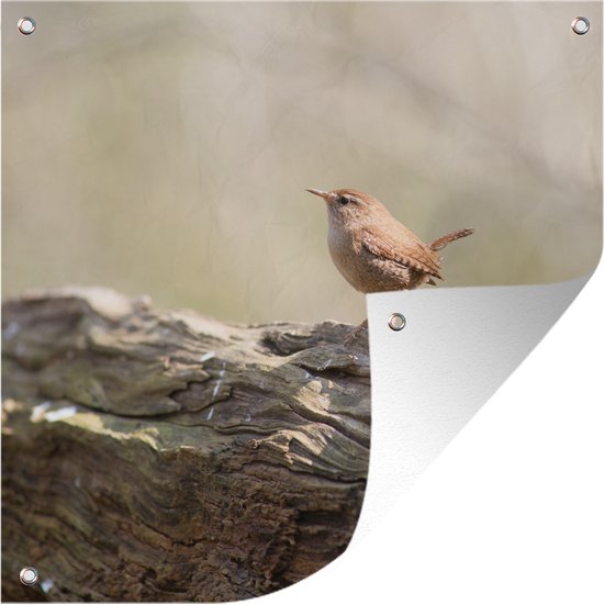 Tuindoek Winterkoninkje op een boomstam - 100x100 cm | bol