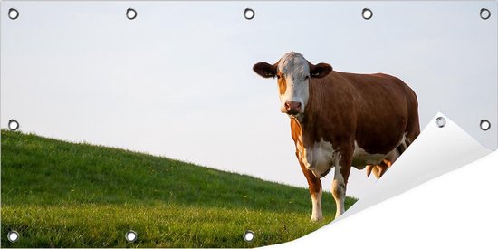 Tuinposter Koeien 100 x 50 cm incl. Metalen ringen - (Buitenposter ...