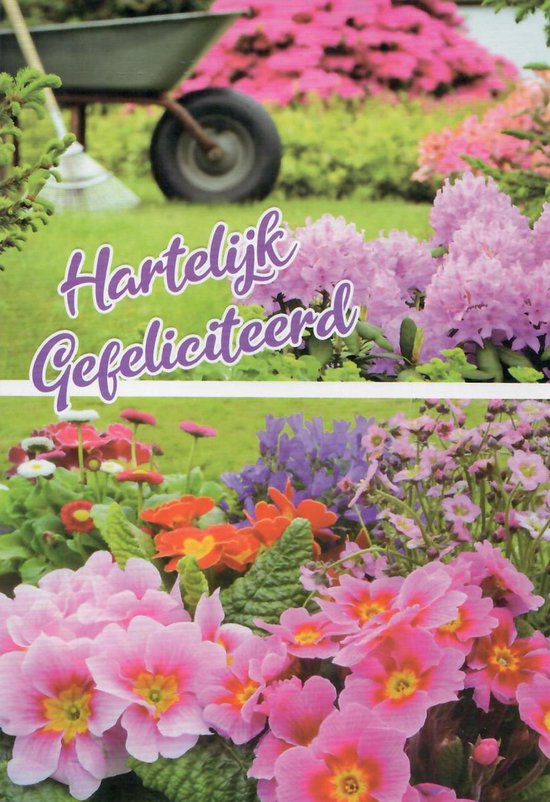 Wenskaart | 10 stuks | Hartelijk gefeliciteerd | bol Wenskaart | 10 stuks | Hartelijk gefeliciteerd | bol
