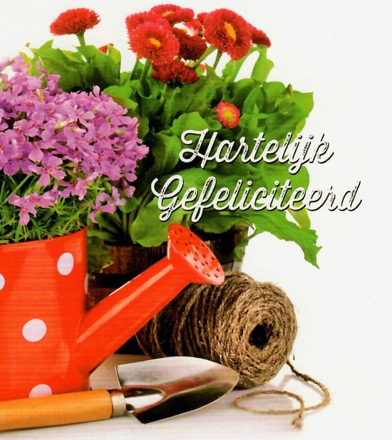Wenskaart | 10 stuks | Hartelijk gefeliciteerd | bol Wenskaart | 10 stuks | Hartelijk gefeliciteerd | bol
