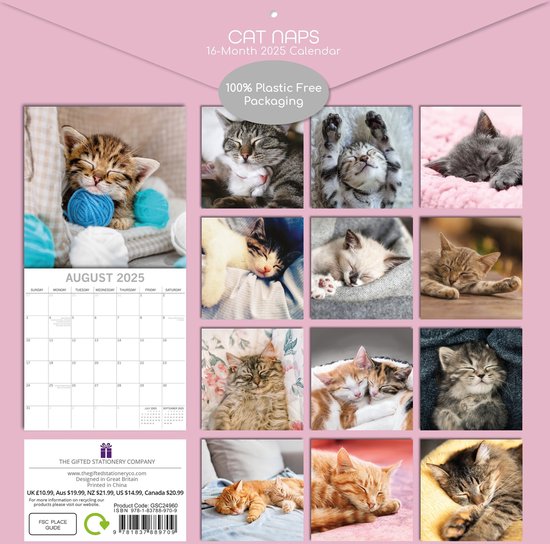 Cat Naps Kalender 2025 | bol