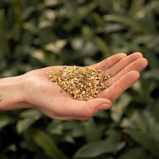 Vermiculiet 3L | bol