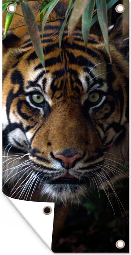 Tuinposter Tijger - Bladeren - Jungle - Dieren - Wild - 30x60 cm - Tuindoek - Buitenposter | bol