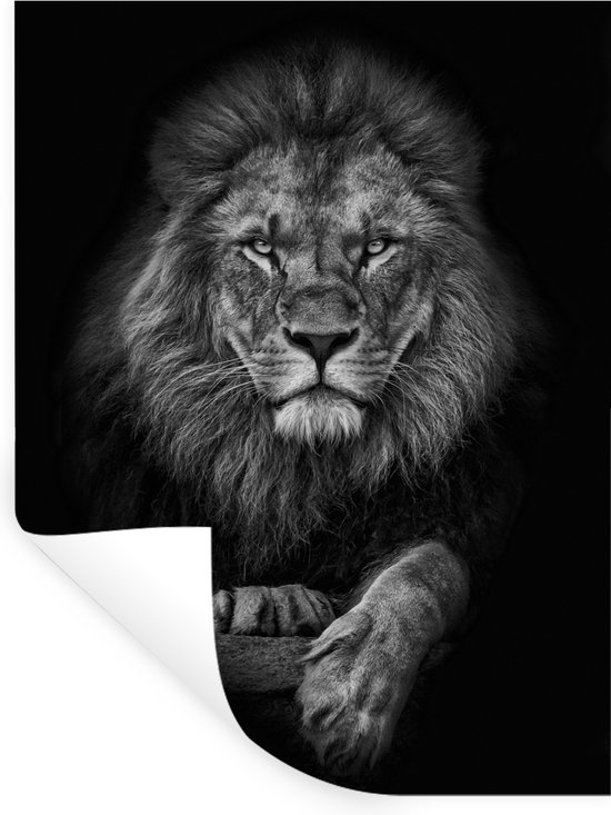 Muurstickers - Sticker Folie - Leeuw - Dieren - Zwart - Wit - 90x120 cm - Plakfolie -... | bol