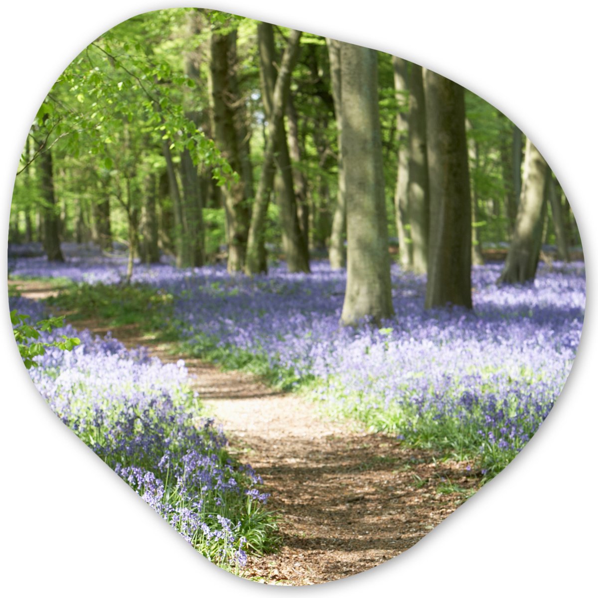 Organische Wanddecoratie - Kunststof Muurdecoratie- Organisch ...