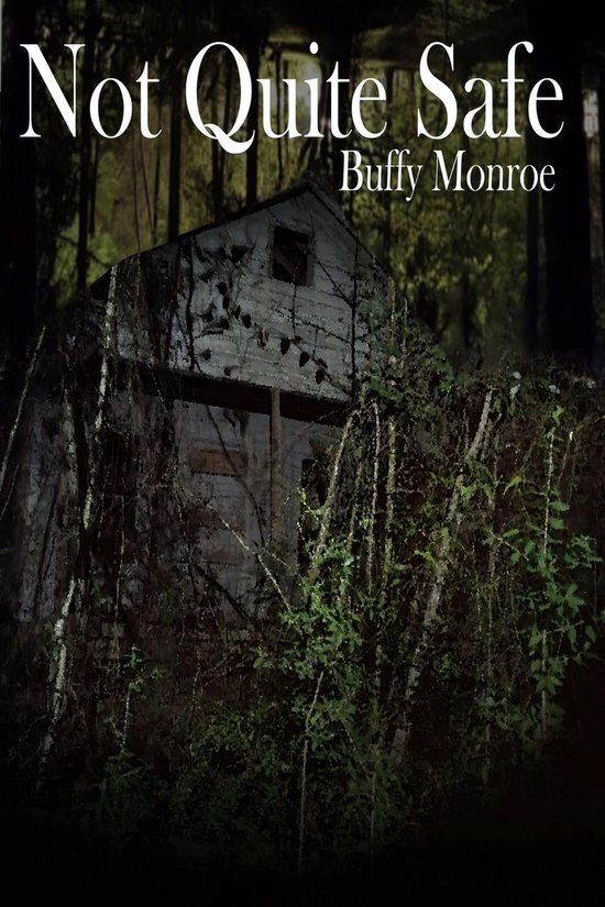 Not Quite Series - Not Quite Safe (ebook), Buffy Monroe | 9798215128336 ...