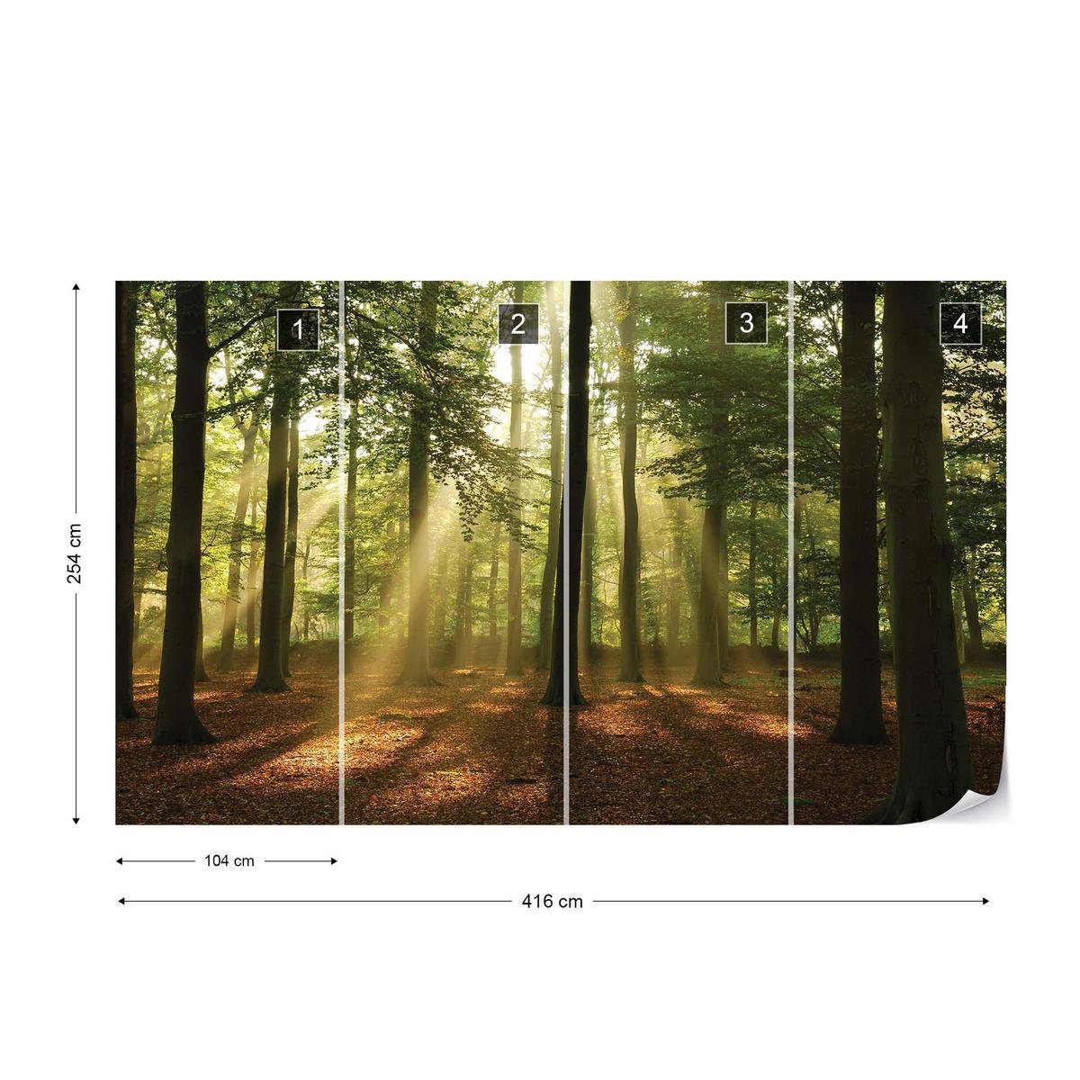 Fotobehangkoning - Fotobehang - Vliesbehang - Behang - Bos met Zonlicht ...