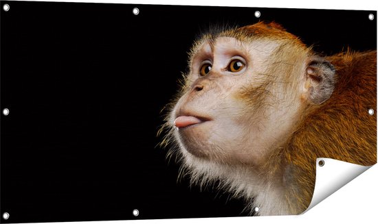 Gards Tuinposter Apenkop met Zijn Tong uit - Aap - 120x60 cm - Tuindoek ...