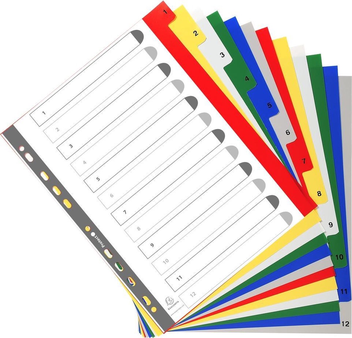 20x Tabbladen met bedrukte tabs in gekleurde PP - 12 tabs - 1 tot 12 ...