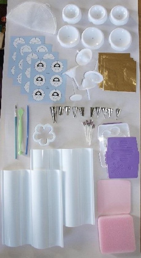 Wilton Flowers and Cake Design - Student Kit 2 | bol