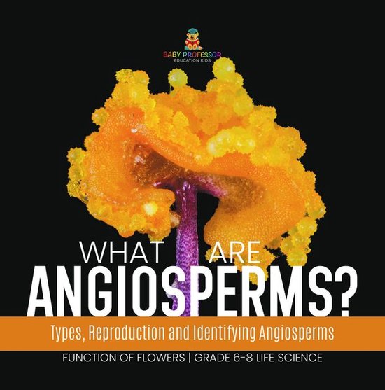 What are Angiosperms? Types, Reproduction and Identifying Angiosperms Function of... | bol