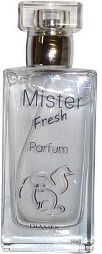 Mr. Fresh Parfum 50ml | bol.com