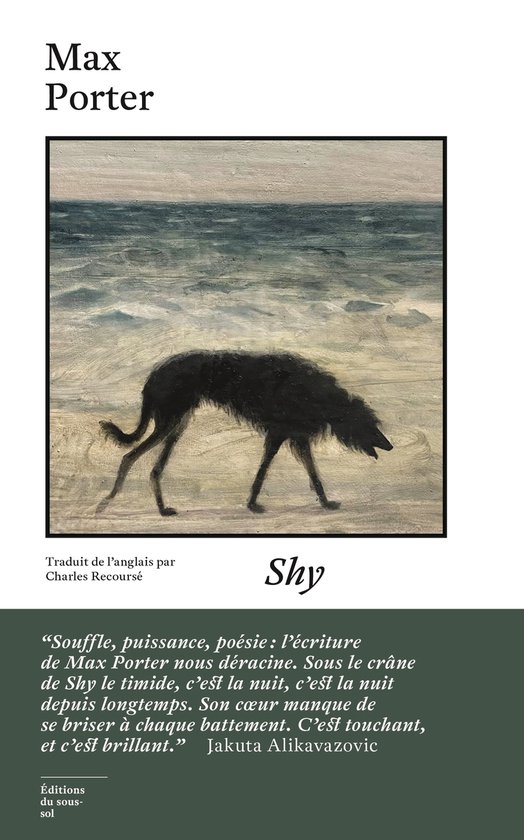 Shy (ebook), Max Porter | 9782364686755 | Boeken | bol.com