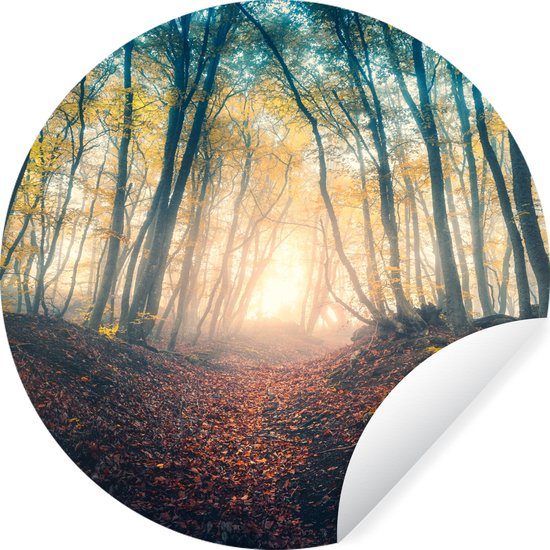 WallCircle - Muurstickers - Behangcirkel - Bos - Mist - Zon - Herfst - 100x100 cm -... | bol.com
