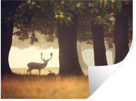 Muurstickers - Sticker Folie - Hert - Bomen - Bos - 40x30 cm ...