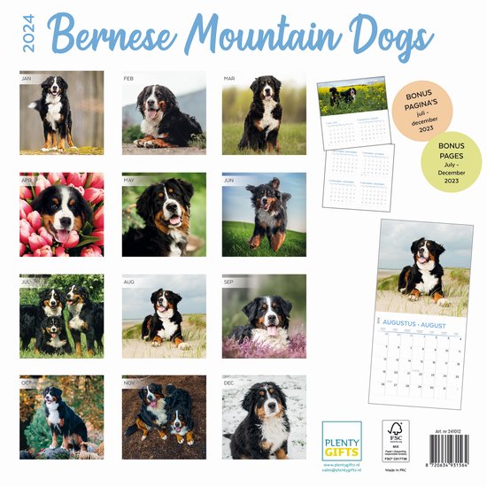 Berner Sennen Kalender 2024 | bol