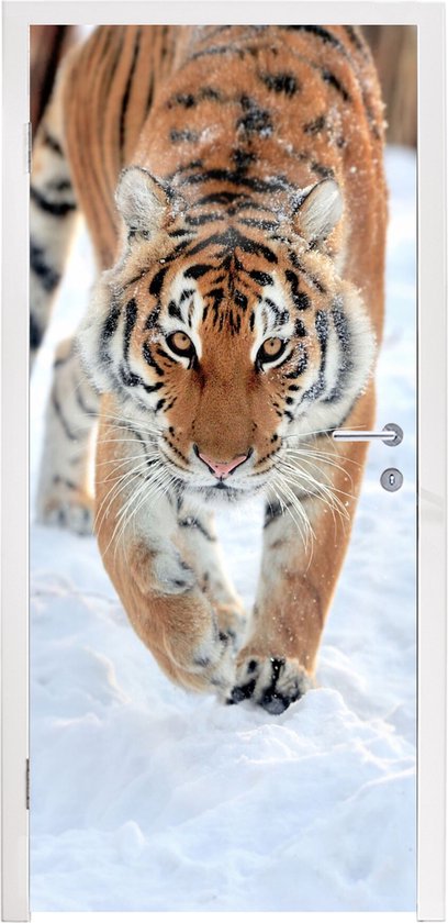 Deursticker Tijger - Sneeuw - Dieren - 90x215 cm - Deurposter | bol