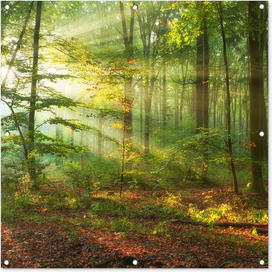 Tuindoek Zon - Bos - Bomen - Natuur - Herfst - 100x100 cm Tuindoek Zon ...