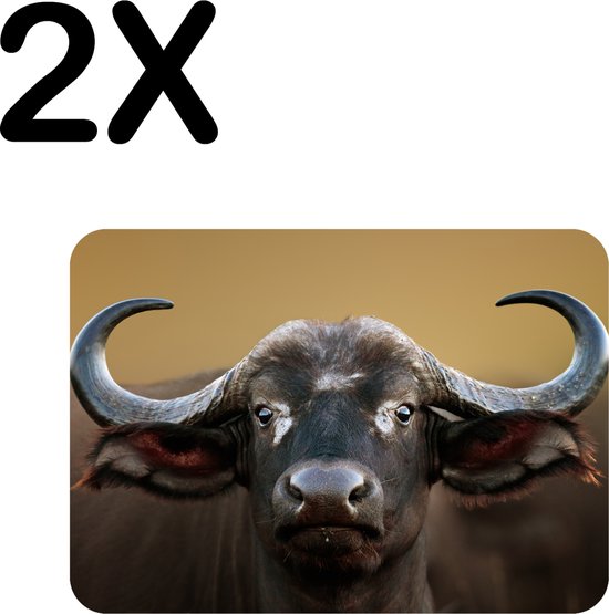 BWK Stevige Placemat - Afrikaanse Buffel - Set van 2 Placemats - 40x30 ...