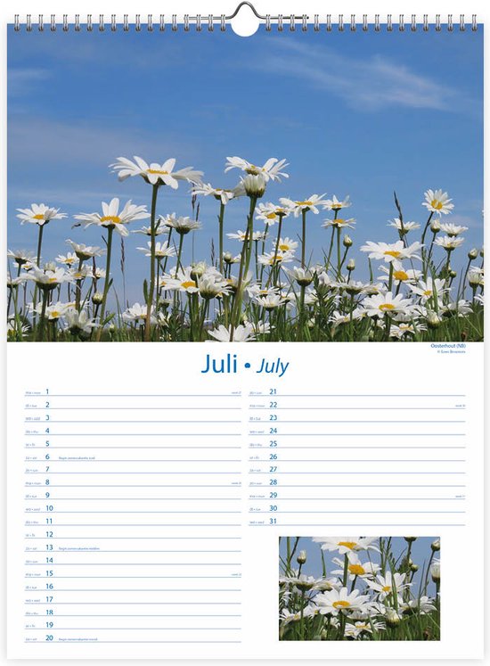 Maand kalender - 2024 - Nederland - 33x44cm | bol
