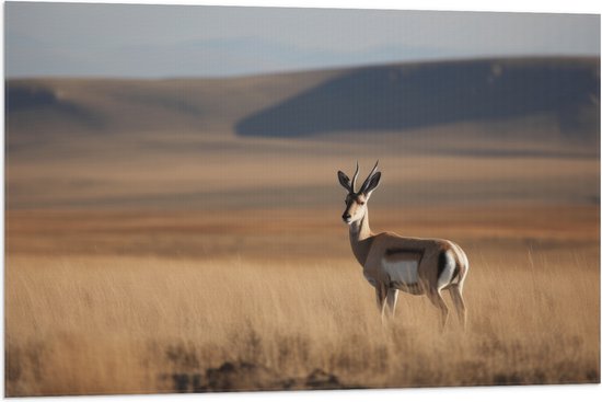 Vlag - Gazelle in open gebied met hoog gras en bergen op de achtergrond ...