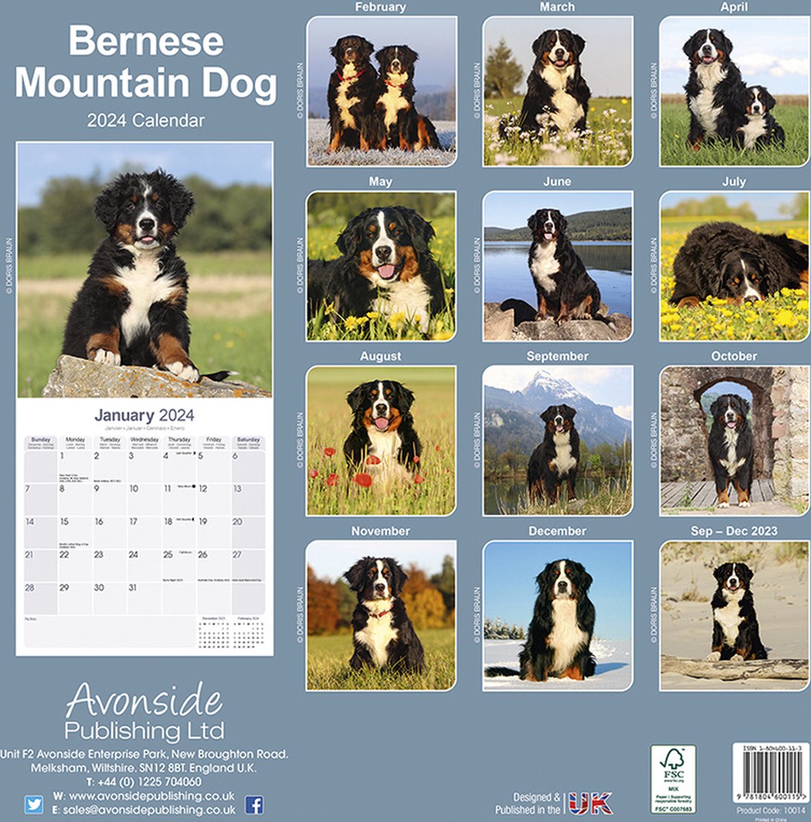 Berner Sennen Kalender 2024 | bol