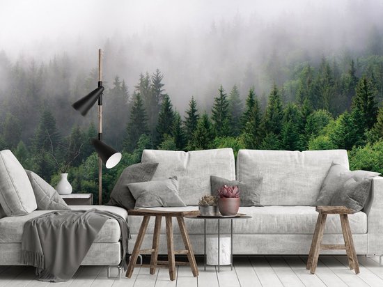 Fotobehang - Vlies Behang - Dennenbos in de Mist - Bos - 416 x 290 cm | bol
