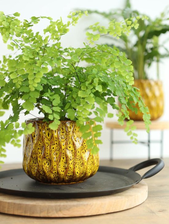 Ideas 4 Seasons Pot Wave Mosterd Ø13,5 X 11,5 Cm | bol.com