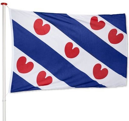 Friesland vlag 90x150cm | bol
